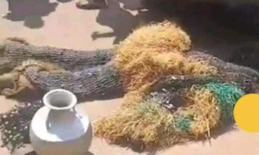 Revealed: How Tricycle Crush Only Surviving Son Participating in Imo ...